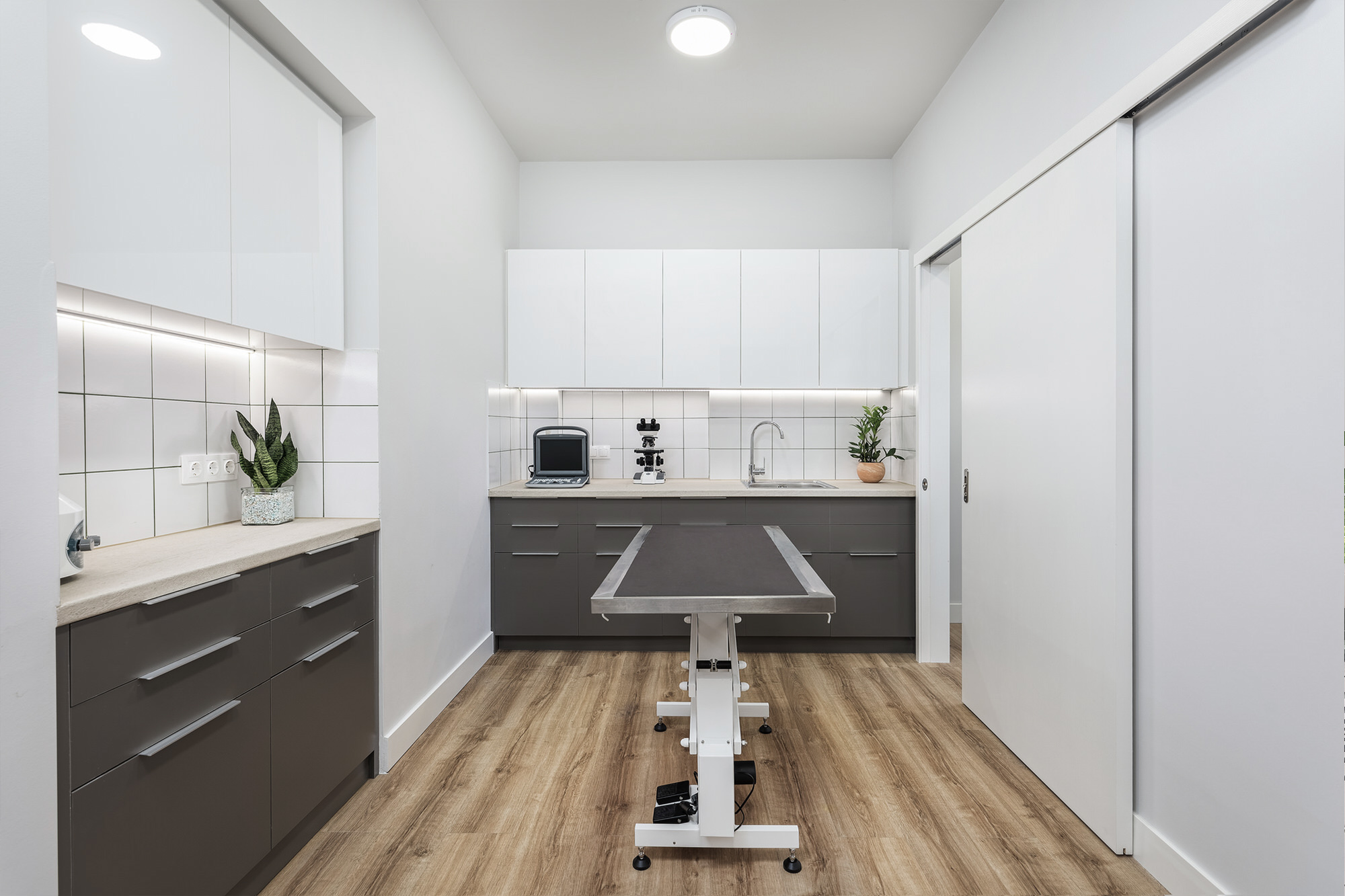 amazon vet – elefkon