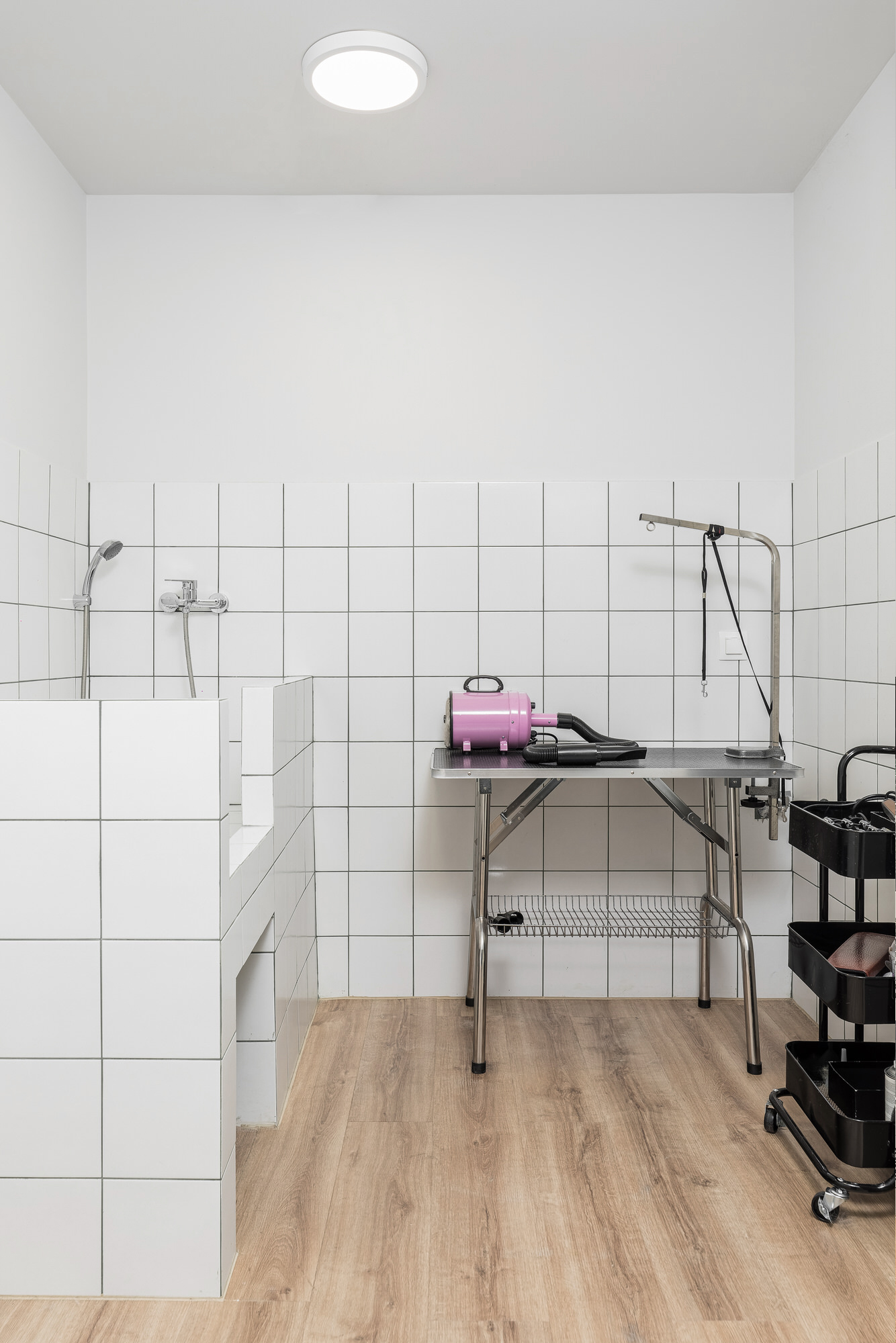 amazon vet – elefkon